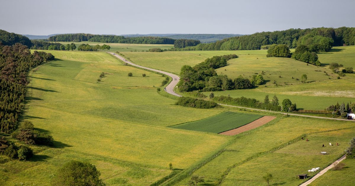 Top 10 Counties for Land Investing in the U.S. (2026 Data Guide)